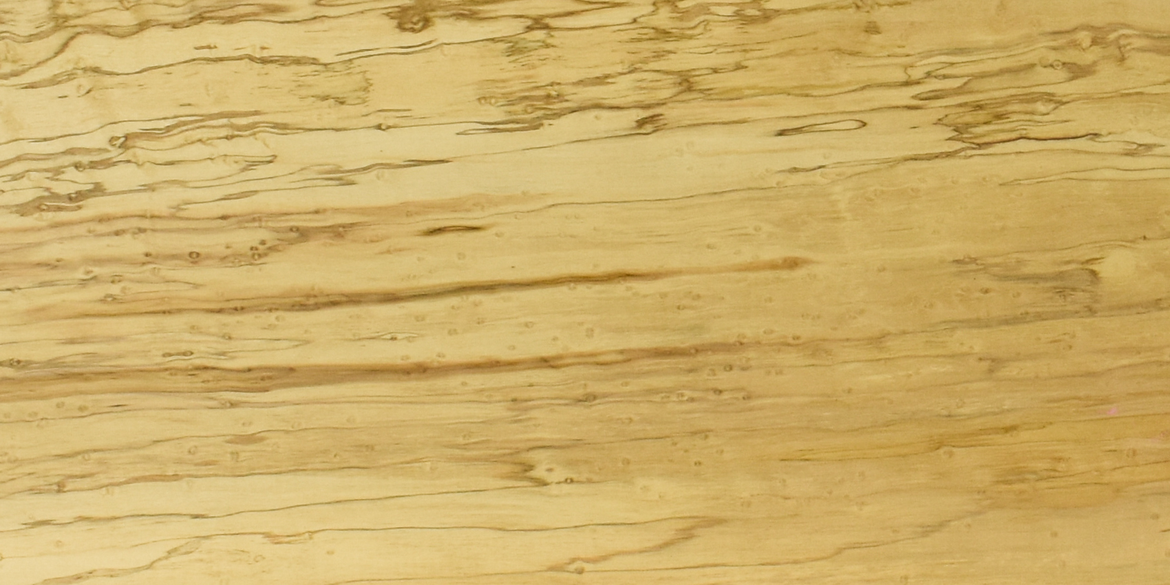 Maple - Spalted Lumber • Rare Woods USA