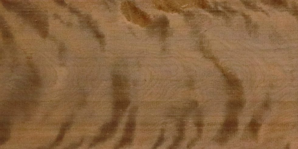 Species Lumber • Rare Woods USA