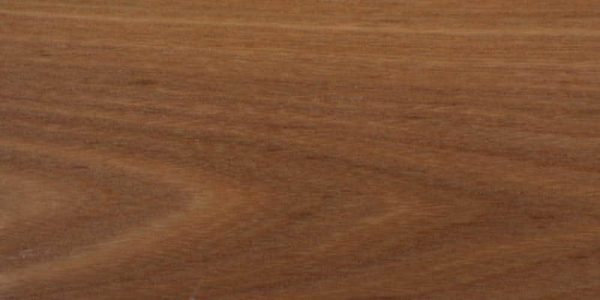 Elm - Red Lumber • Rare Woods USA