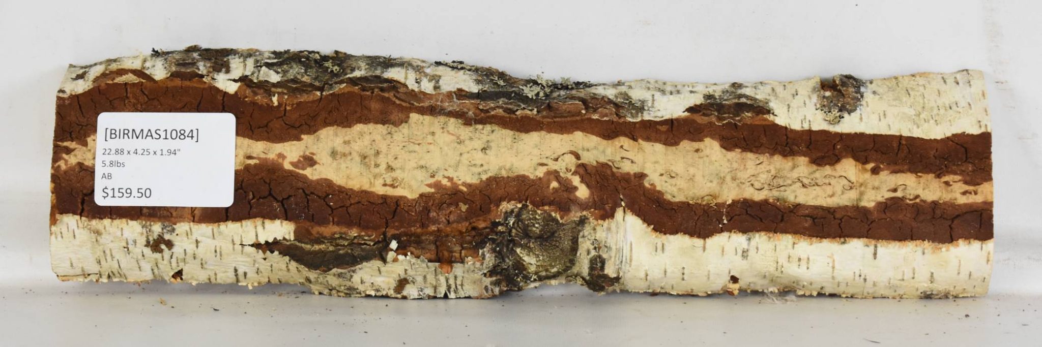 Birch - Masur Lumber • Rare Woods USA