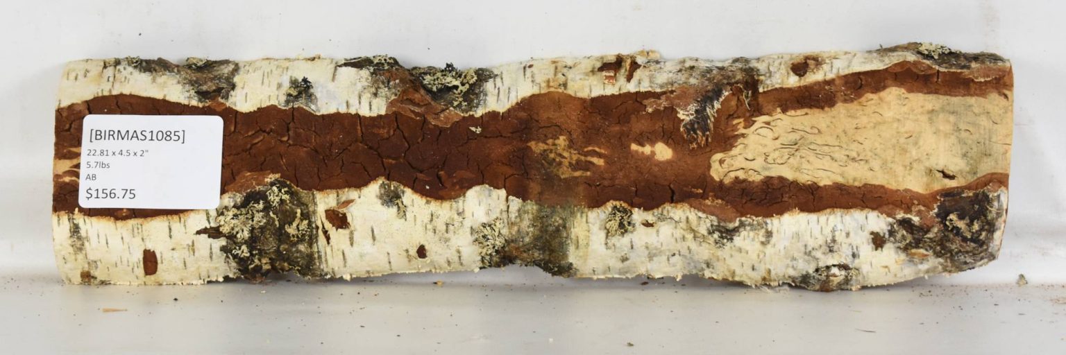Birch - Masur Lumber • Rare Woods USA
