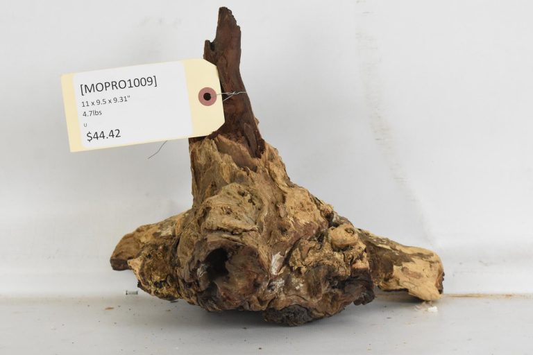 Mopane Roots • Rare Woods USA